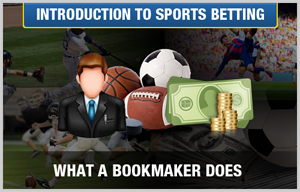 What Is a Bookmaker? What Bookmakers Do and How Bookies Make Money