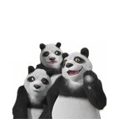 Top Panda Slots to Play Online (And Where to Find Them)