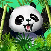 Top Panda Slots to Play Online (And Where to Find Them)