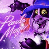 Top Panda Slots to Play Online (And Where to Find Them)
