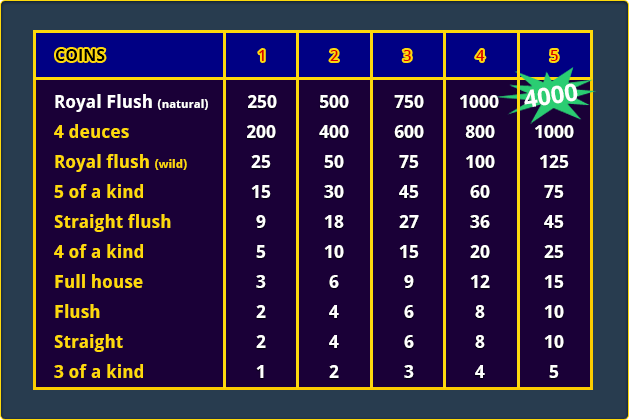 Video Poker Guide - How to Play, How to Win & Much More