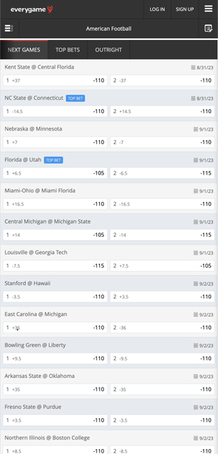 NFL Betting Guide - How to Bet on Football