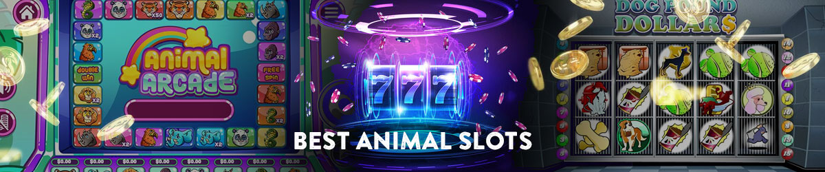 6 Animal Slot Games to Play Online (and Where to Find Them)